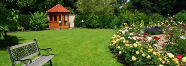 Expert Guide to Creating the Perfect Lawn: Expert Tips and Tricks