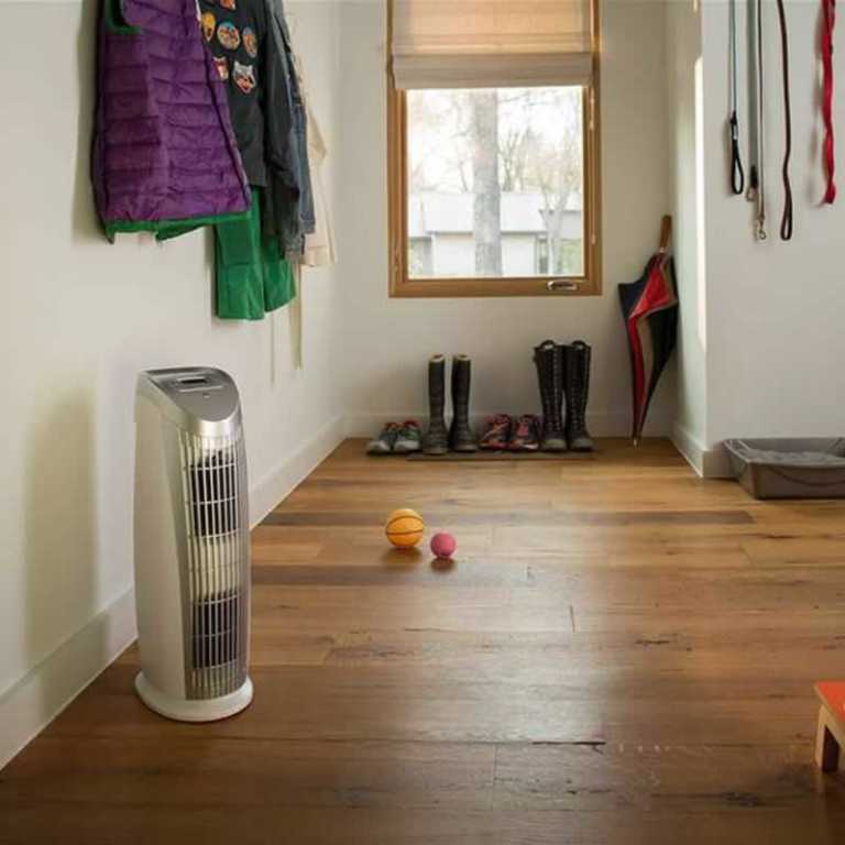 Let Clean Air Settle in your Home for Good | Handyman tips