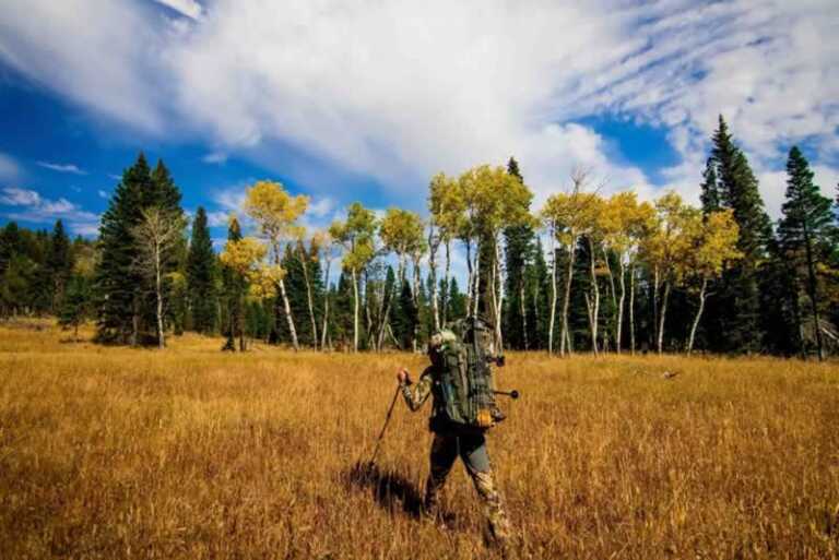 Planning Your Own DIY Hunt: Everything You Should Know | Handyman tips