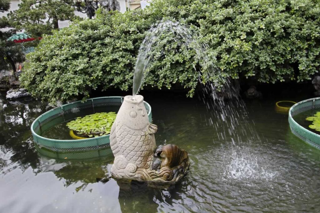 Transform Your Backyard Oasis With Scott Pond Fountains | Handyman tips