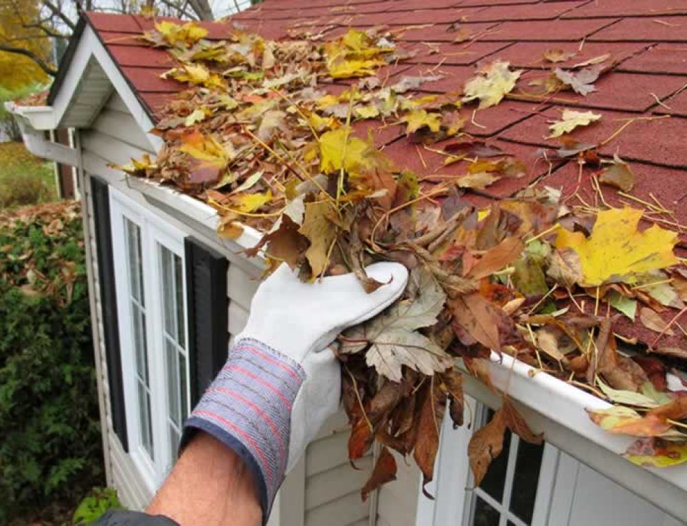 7 Home Maintenance Tips You Should Know