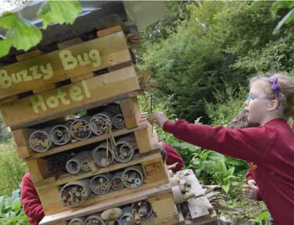 The Ultimate Guide to Building a Bird Table in Your Garden